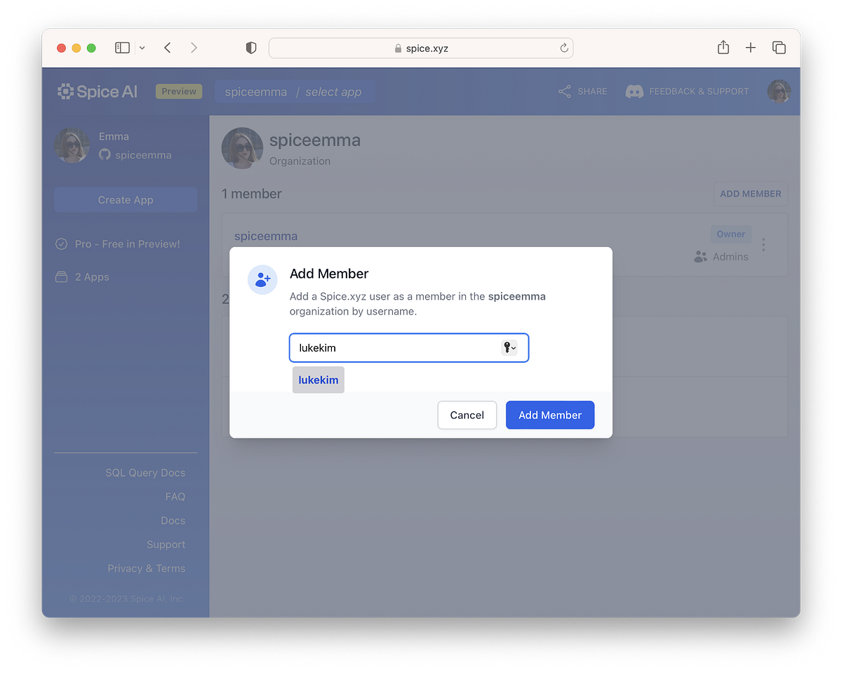 Spice.xyz January Update | ENS Domains Dataset, Async Query | by Margaret Zhang | The Spice AI Blog
