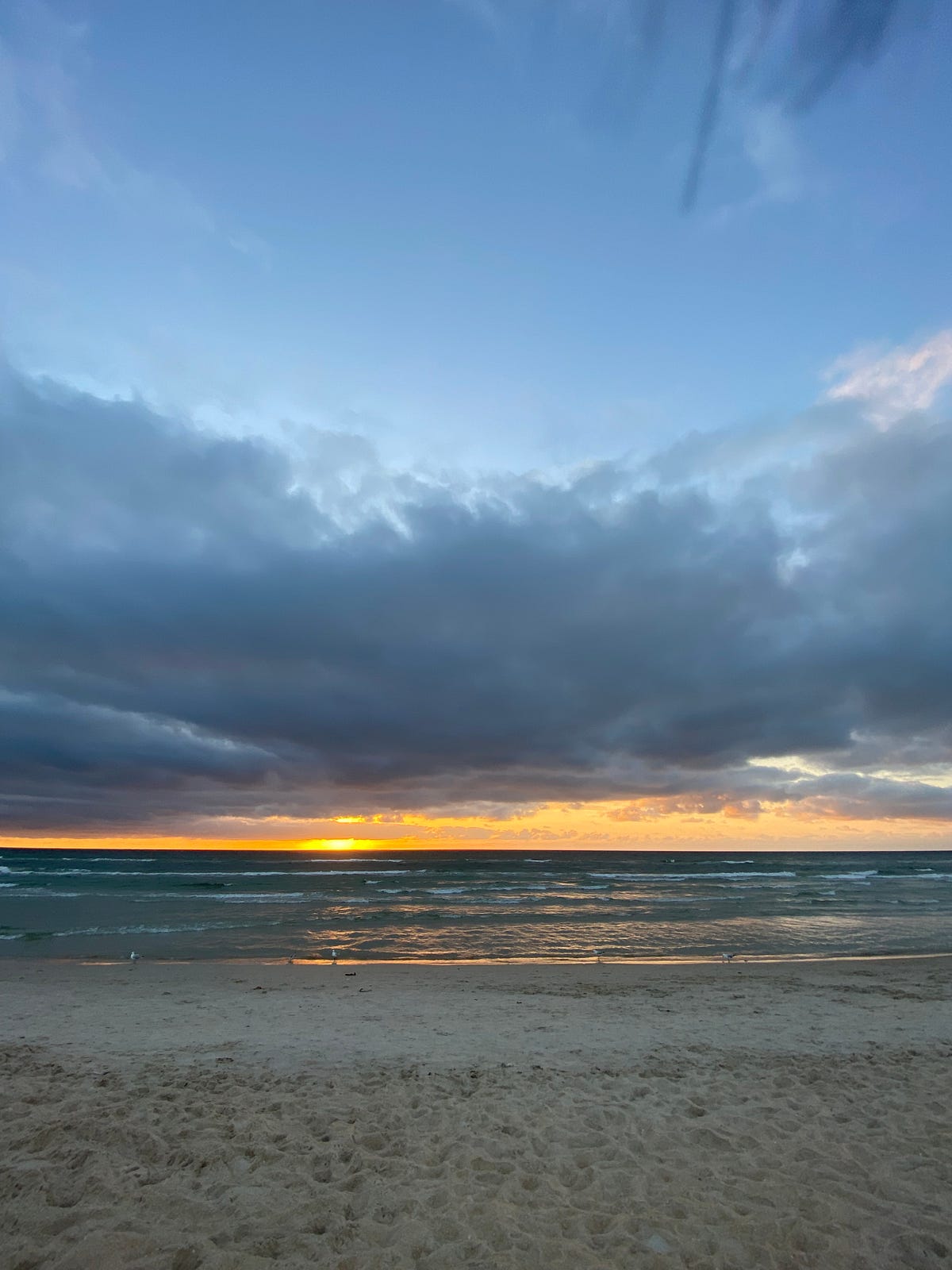 Twisted Sea. Through tears of suffer and despair… | by Heber Robinson ...