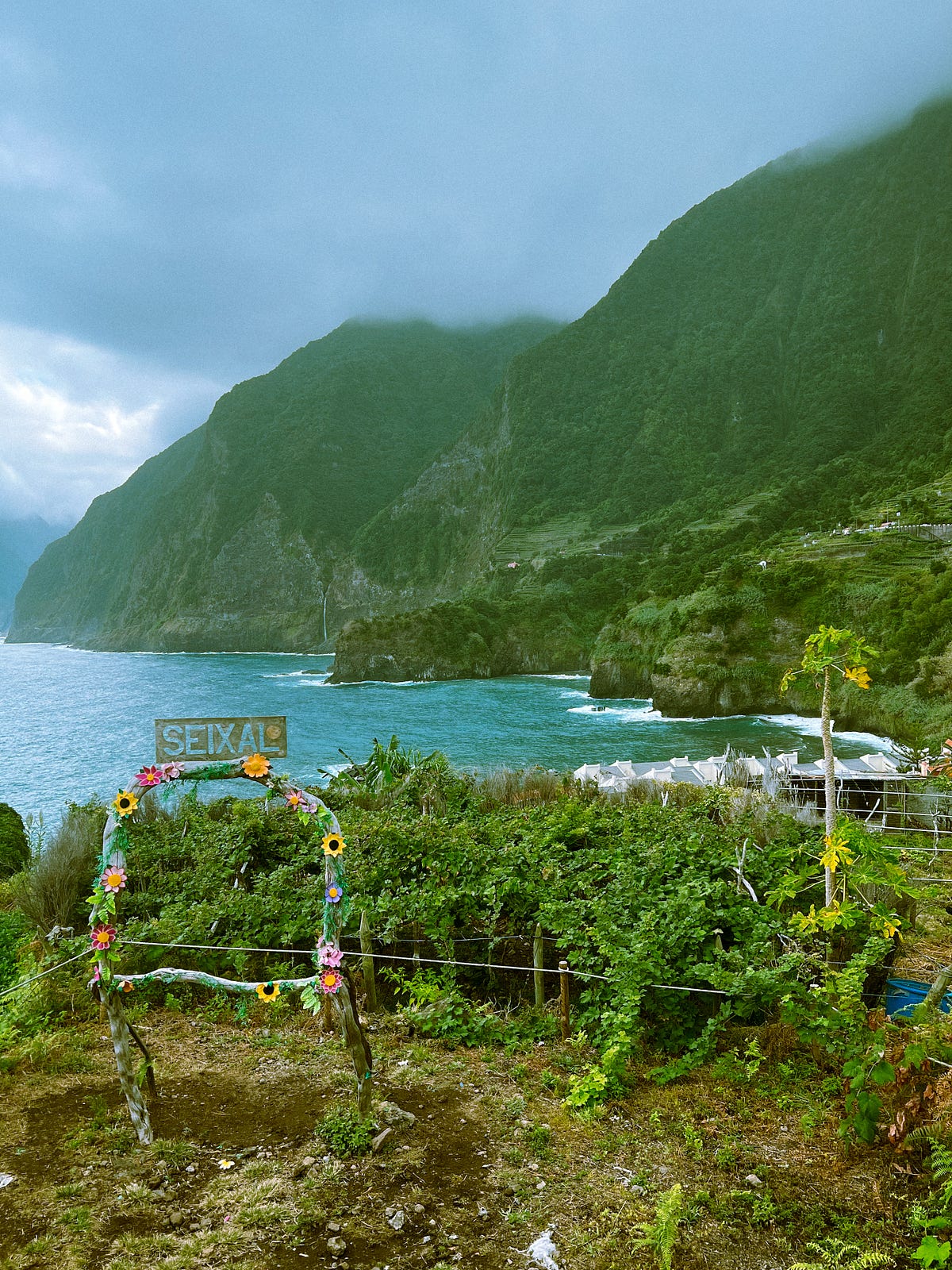 The Island of Eternal Spring. Everything you should know about a week ...