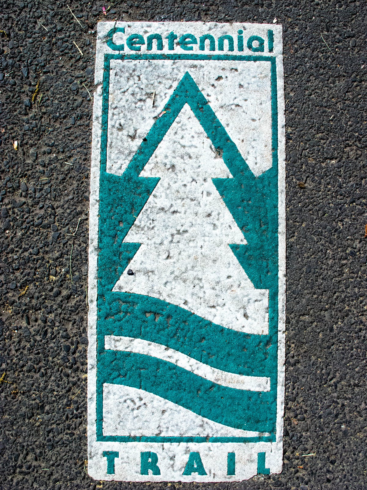 A Day in the Life of the Centennial Trail | by Matthew Rouse | Medium