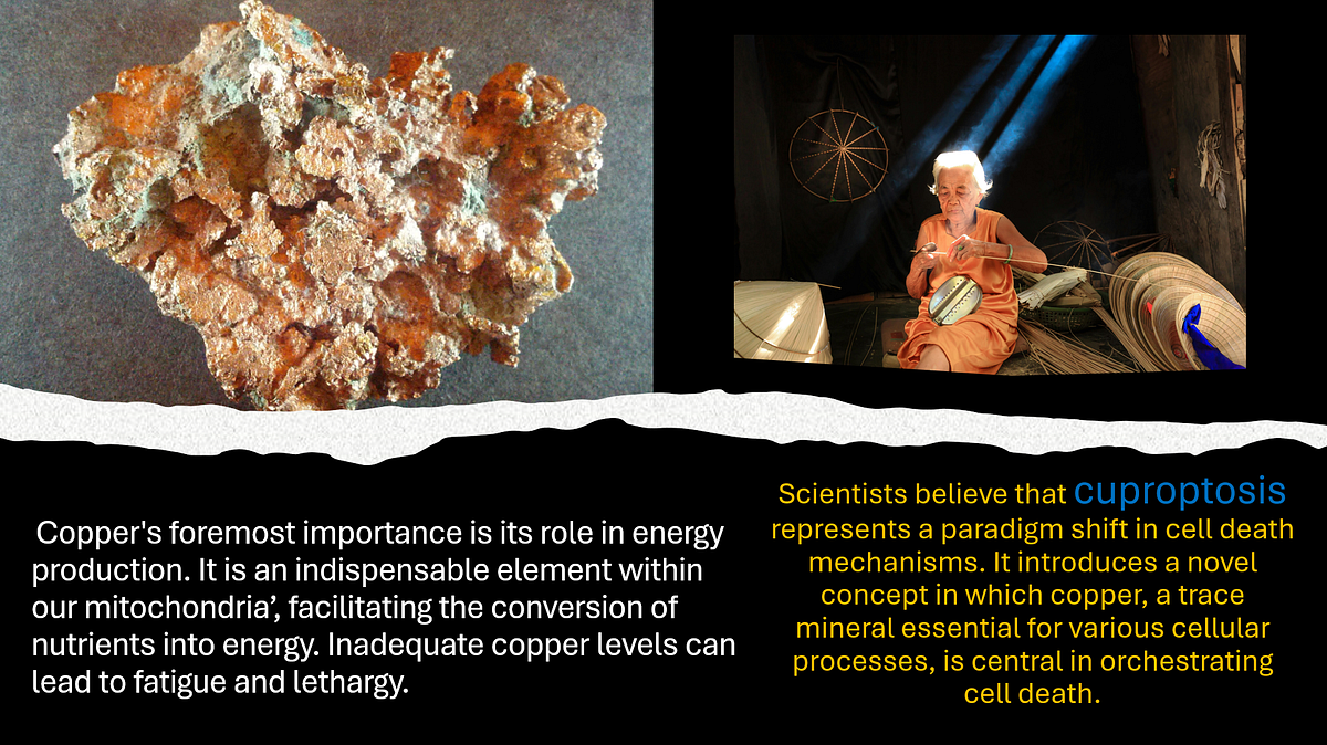 Cuproptosis: Nuances of a Unique Form of (Copper-Induced) Cell Death ...