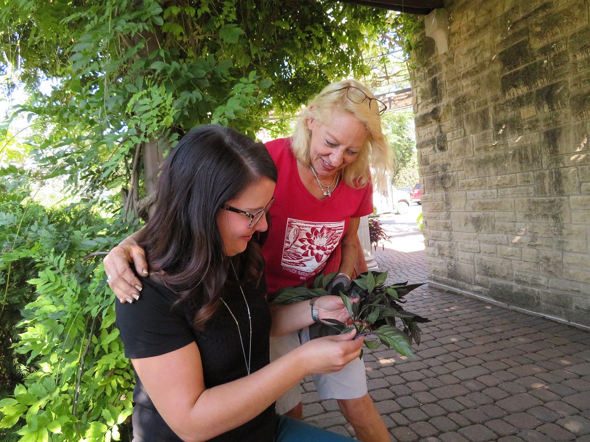 Maggie Stuckey (Ross) in Love with Lincoln’s Parks | by Randy Bretz ...