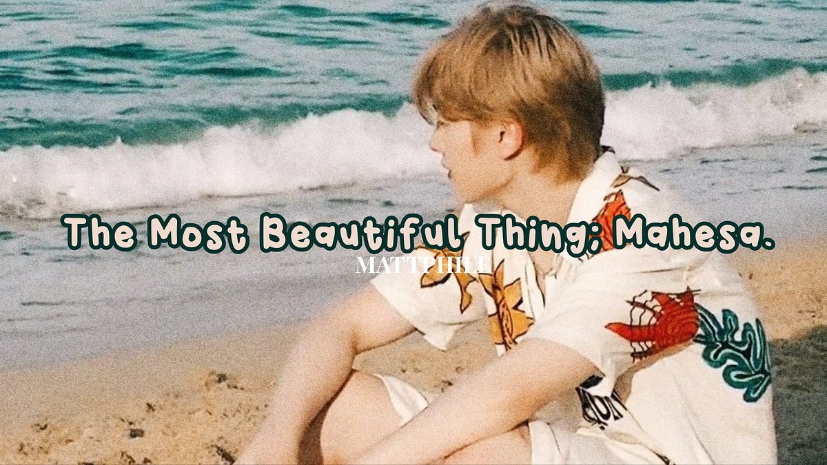 The Most Beautiful Thing; Mahesa. | by ☆ | Medium