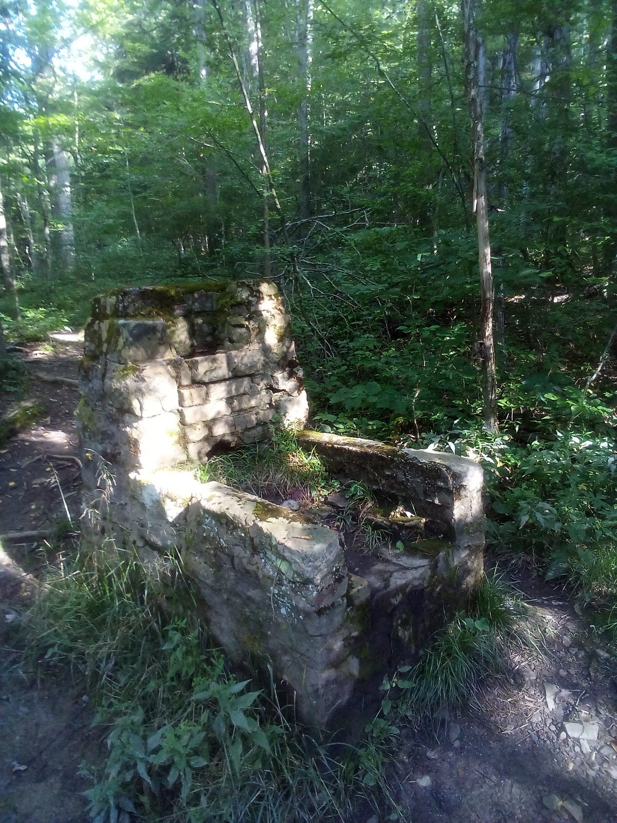 Meditation on a Disappearing World | by John Brantingham | Tea with ...