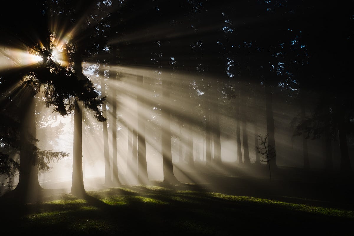 How to Be Your Own Miracle Worker | by Ryan Engelstad | Medium