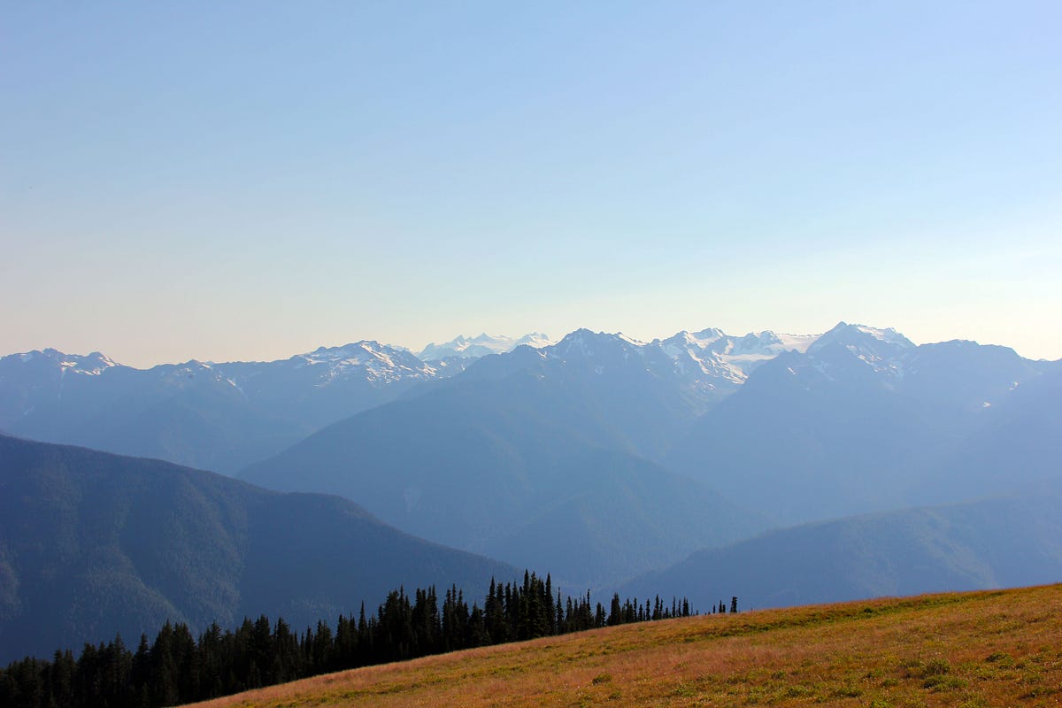 The Hurricane Ridge Saga. Port Angeles and the Case of the… | by Katie ...