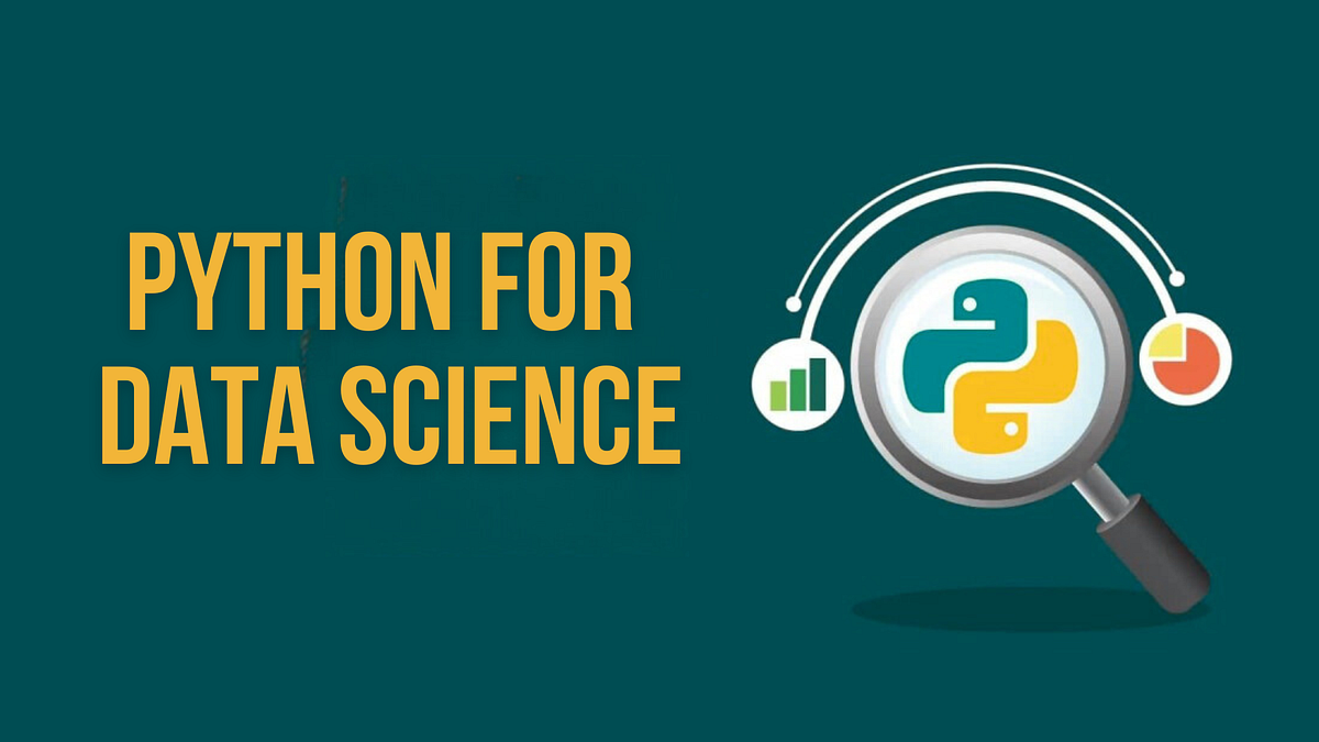 My Python Mastery Journey Through Data Seekho’s DSMP | by Saba Umar | Dec, 2024 | Medium