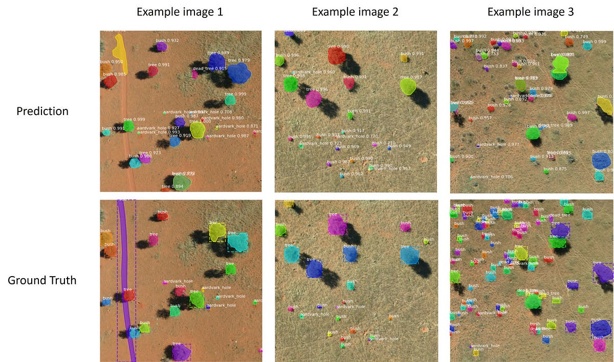 Quantification of vegetation and possibly animal populations in drone ...