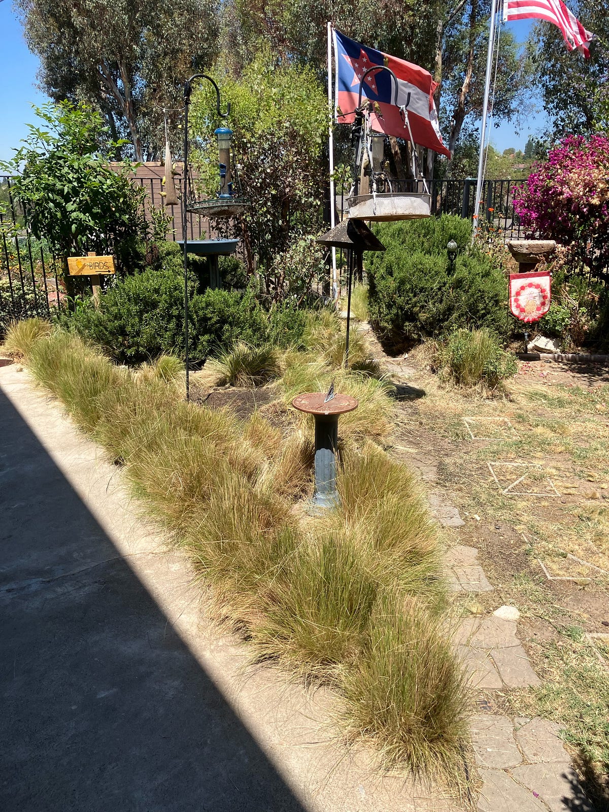 A Bird prayer for today. Give us Our “daily birdseed” | by Lu Skerdoo ...