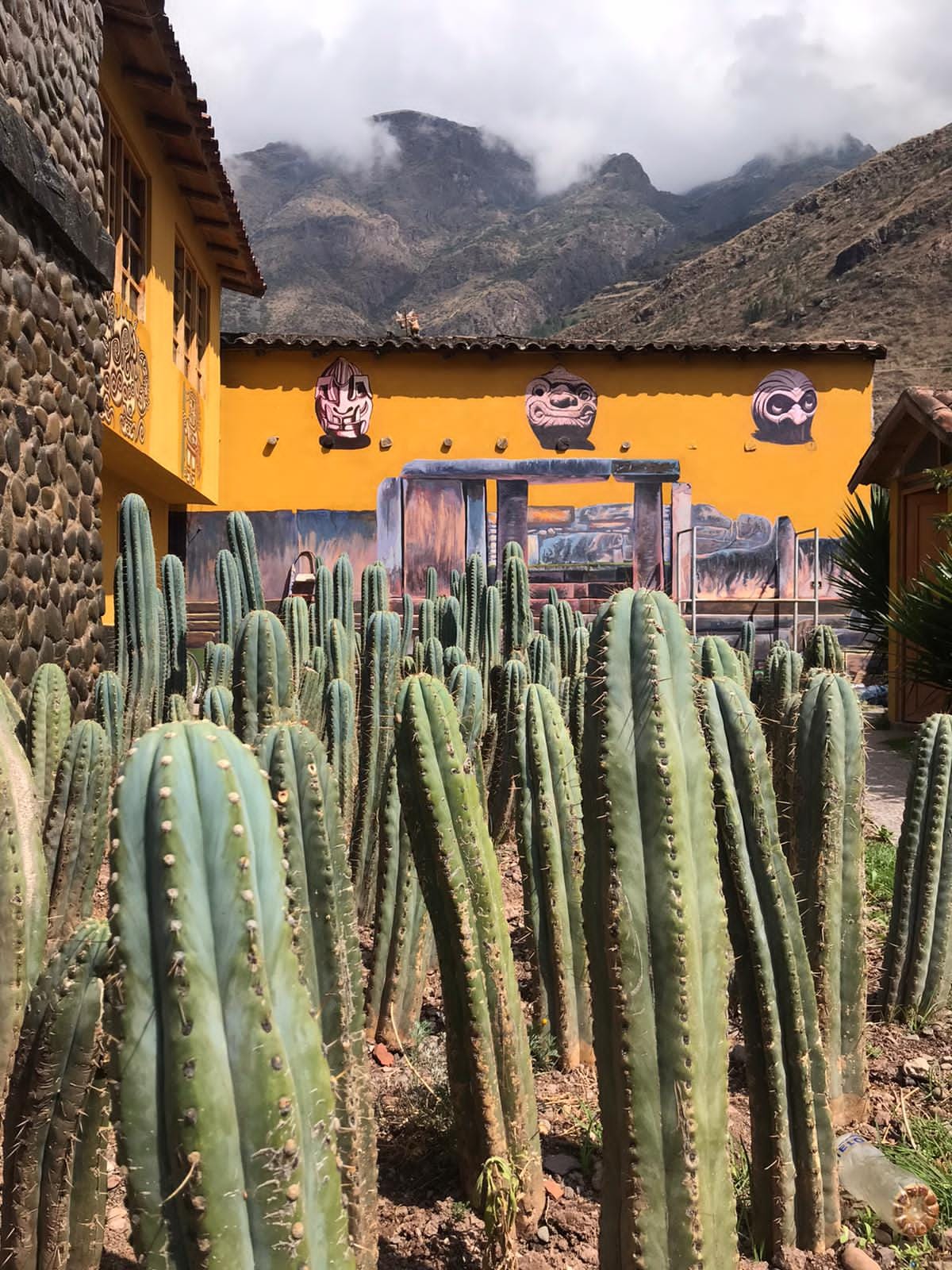 Plant Medicine is Available for Those Who are Seeking It | by Sergey Baranov | Happy Brain Club ...