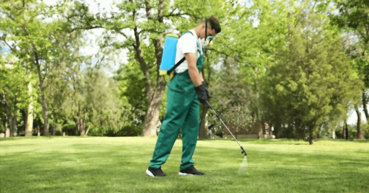 Transforming Your Lawn With Professional Lawn Care | by Clean N’ Green ...