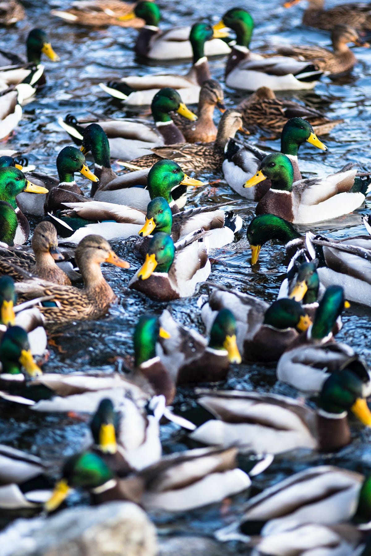 I Know You Are Busy. What are you busy with, tough? | by Elena dL ...