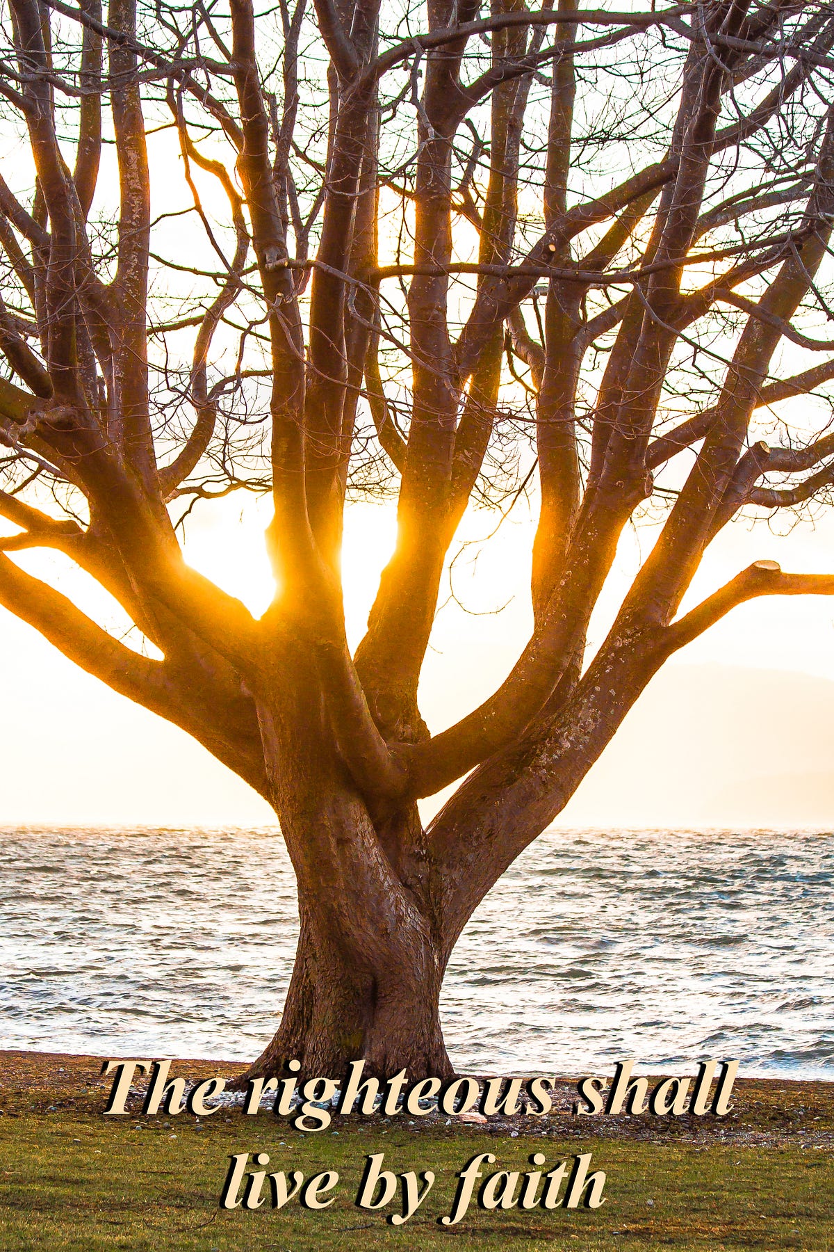 God’s Way the Only Way. “Now it is evident that no one is… | by Reid ...