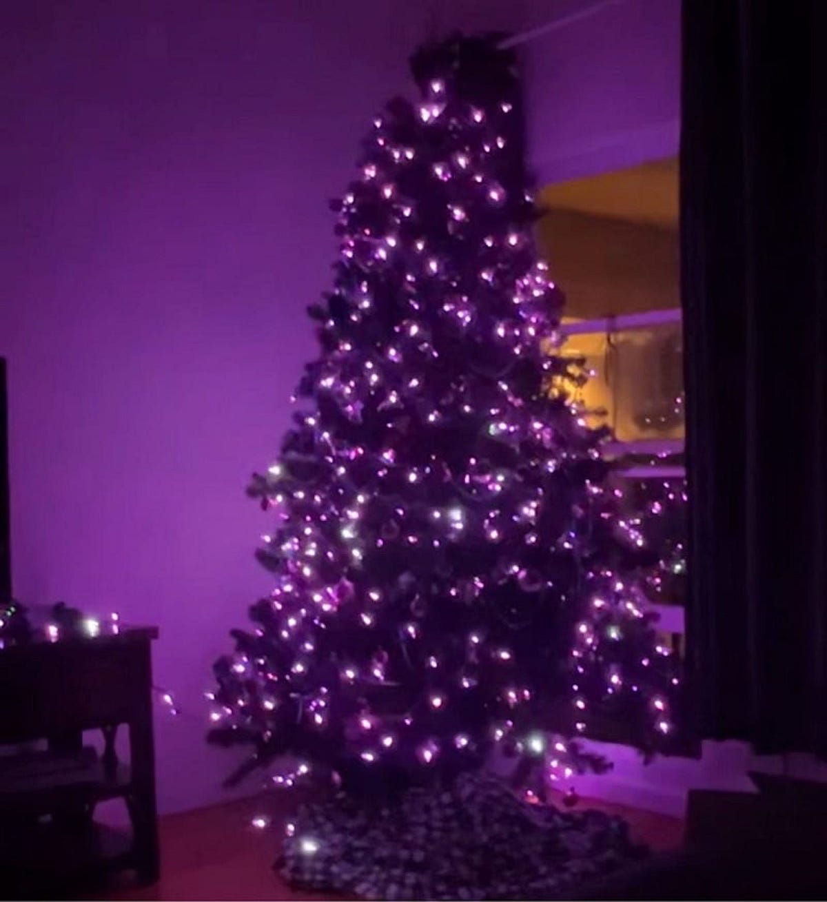 A Solitary Christmas Tree on Cedar St | by David Lee Condrey | Fourth Wave | Dec, 2024 | Medium