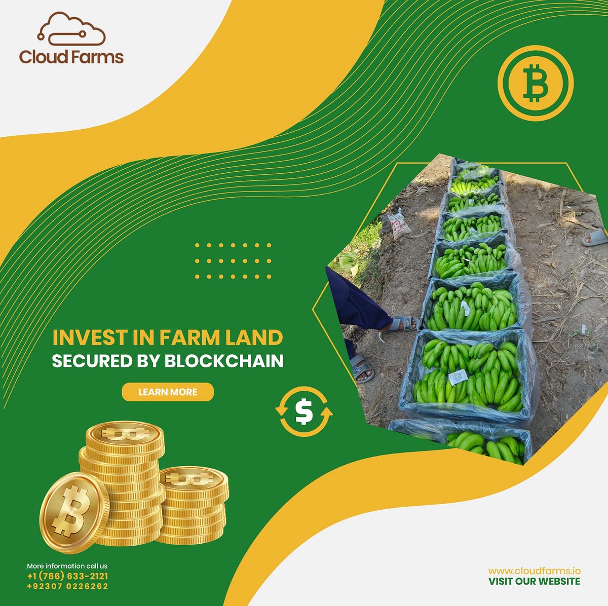 Let Your Money Be Your Best Employee: Revolutionizing Farm Investments ...