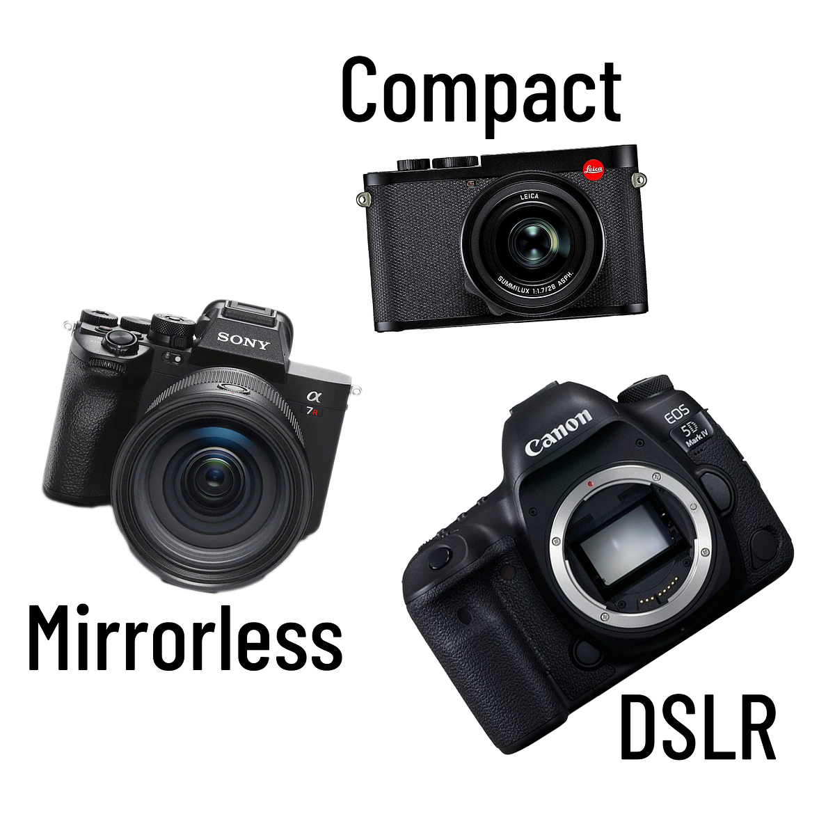 Which Camera Suits Best For You: DSLR vs. Mirrorless vs. Compact | by Blogger Dude | Medium