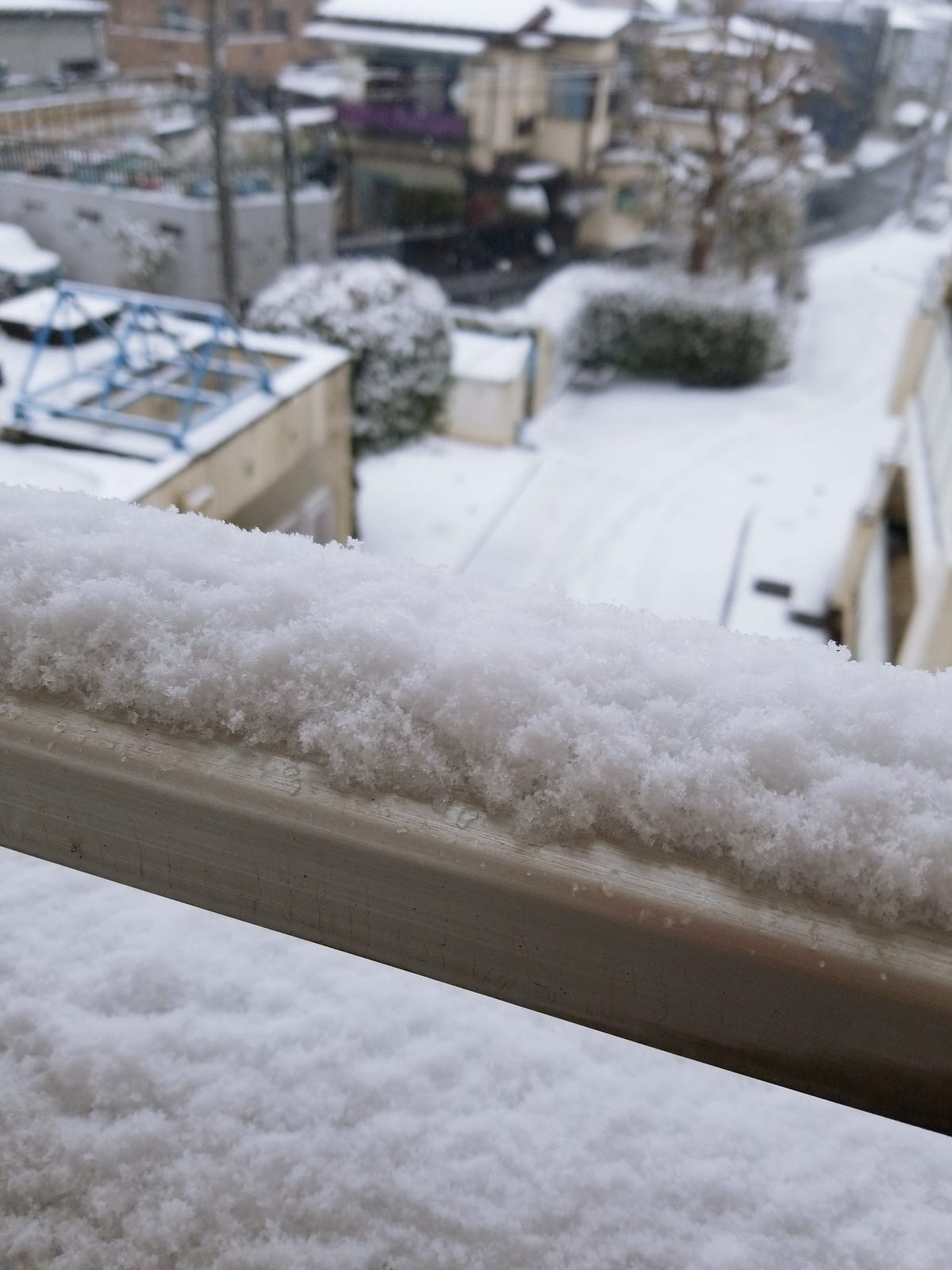 Snowfall in Tokyo - candyj - Medium