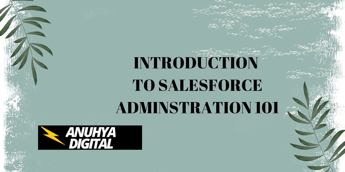 Introduction to Salesforce Administration 101 | by Anuhya digital | Jun, 2024 | Medium