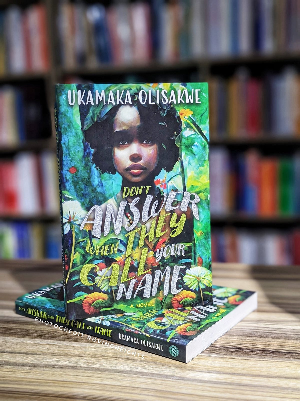 Myth Meets Fantasy. While reading Ukamaka Olisakwe’s “Do… | by Michael ...