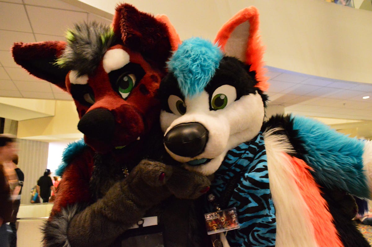I’m Both Suprised and Not Surprised at the Evangelical Furries | by ...