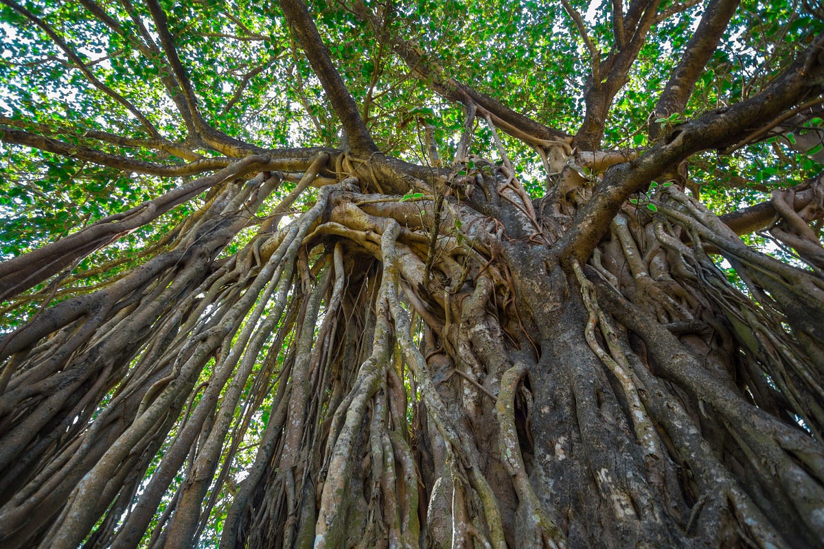 The day I understood why Sita was swallowed by the Earth | by Urvashi ...
