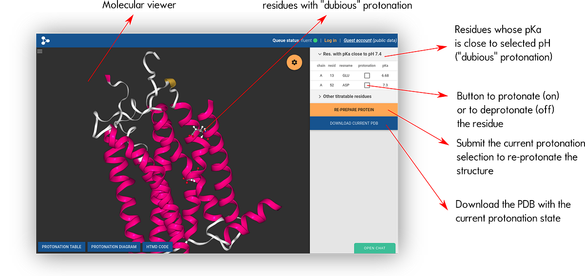 How to prepare a protein structure using PlayMolecule® ProteinPrepare [TUTORIAL] | by Gerard ...