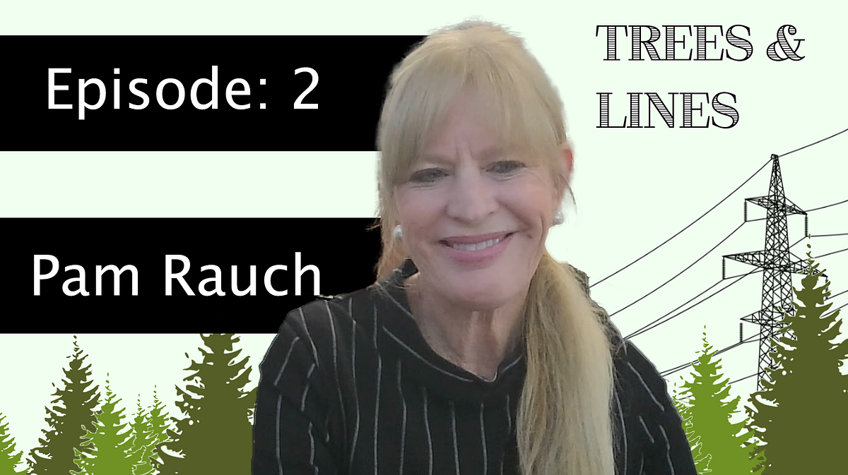 Vice President Pam Rauch: Good Corporate Culture & Renewable Investment ...
