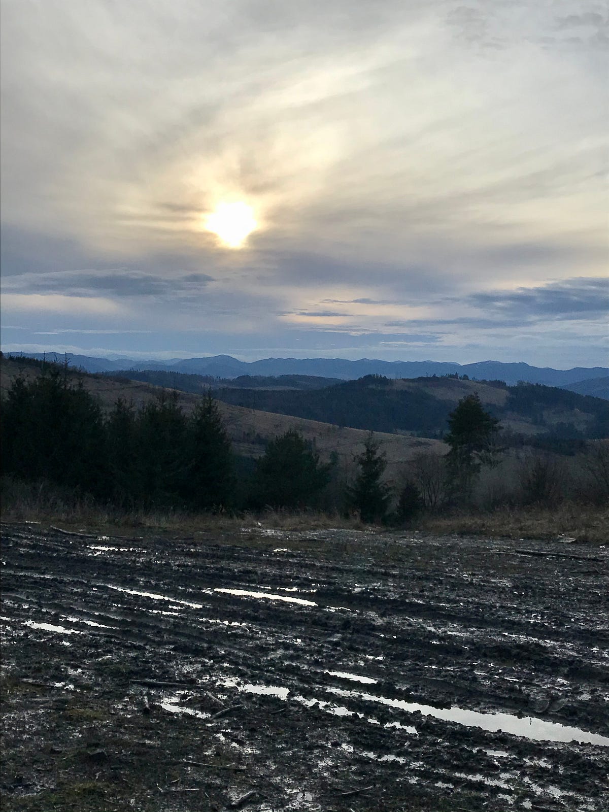 Galactic Opera. I didn’t expect that going to Berlin to… | by Celia ...