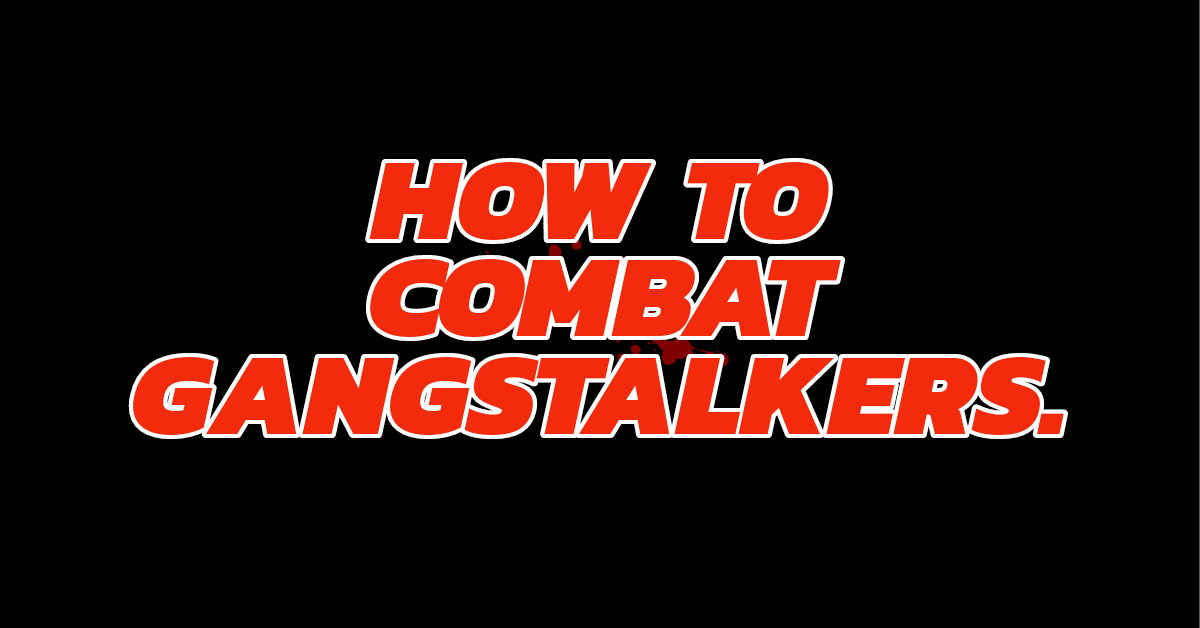 HOW TO COMBAT GANGSTALKERS. They can be held accountable and… | by ...