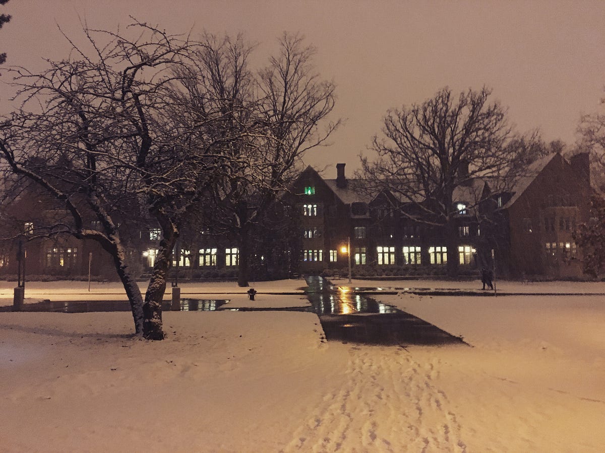 Twilight Shadows Fade. Nightfall is a magical time on the… | by Rachel Sze | Medium