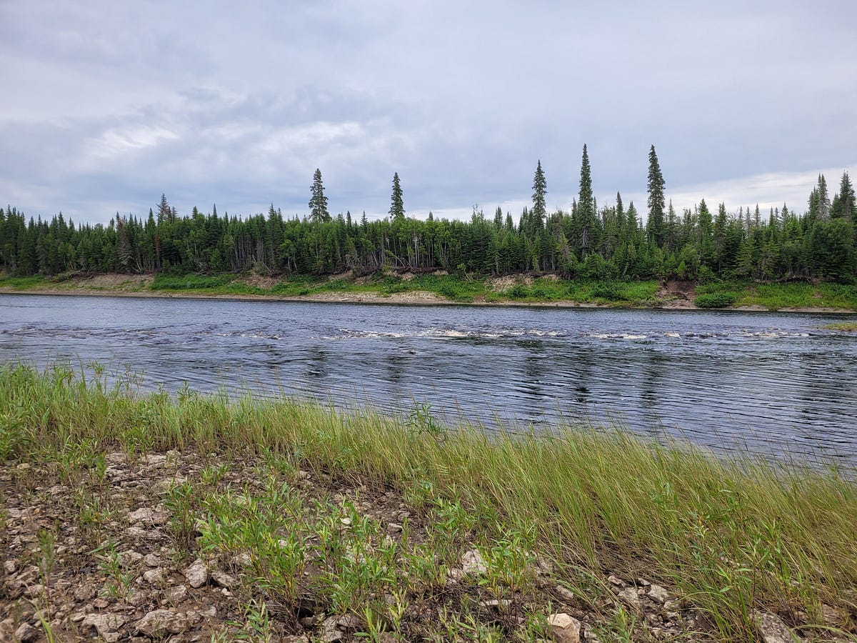 Impact of Hydroelectric Facilities on Namew in the Moose Cree Homeland ...