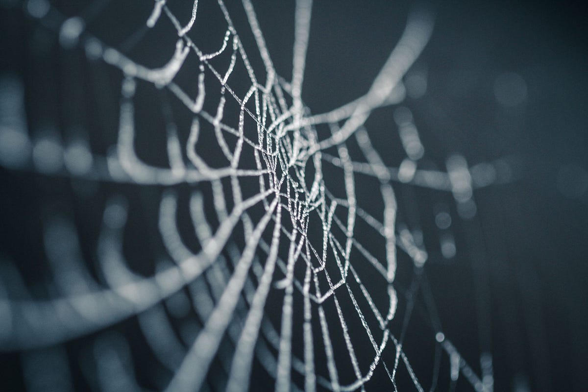 Spider dependency. Stakeholder analysis | by Business AnalysisHub | Medium