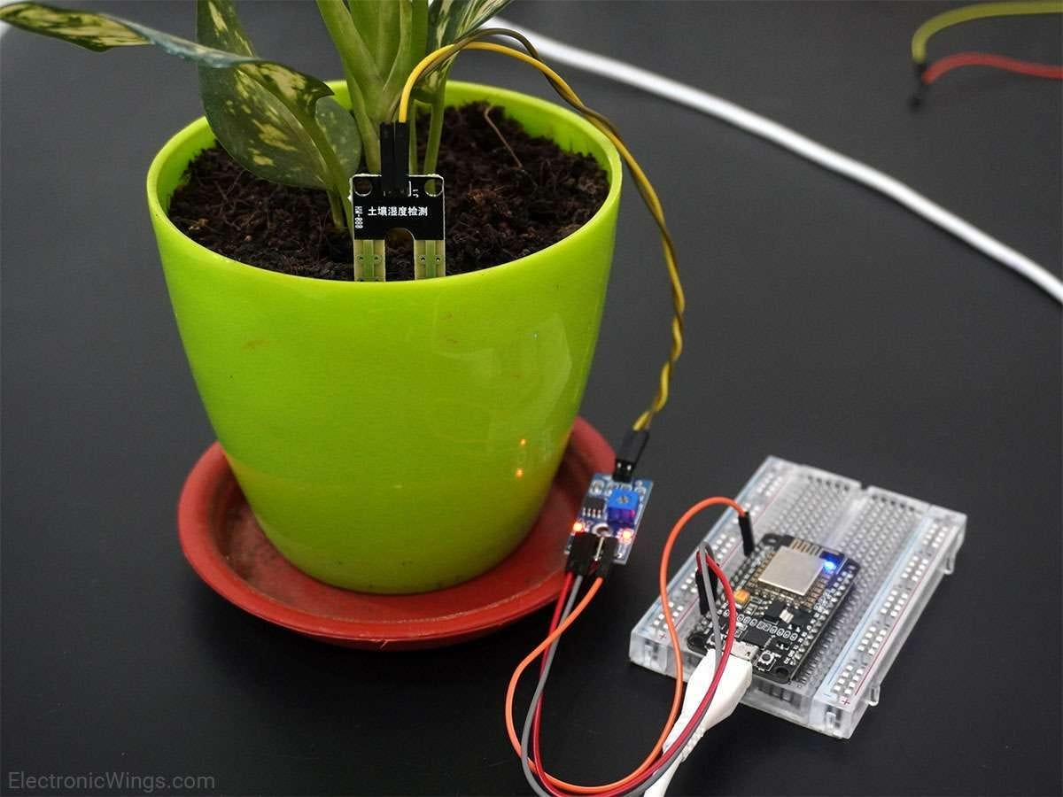 Navigating Growth: The Evolution of the Soil Moisture Sensor Market ...