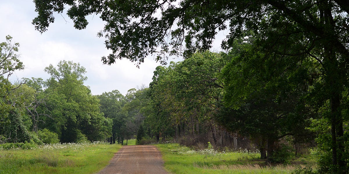 The Good, the Bad, and the Ugly of My Impending Move to East Texas | by ...