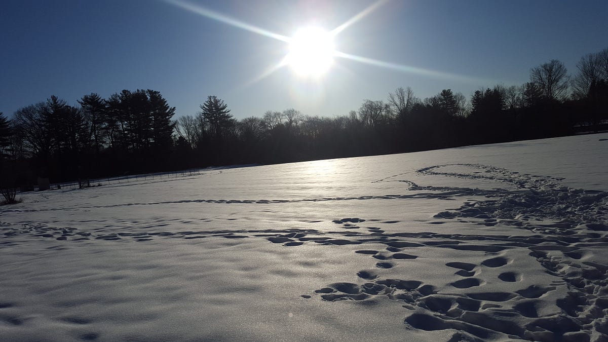 Mornings with Sunday. Winter in New England | by T. A. Alston | Medium