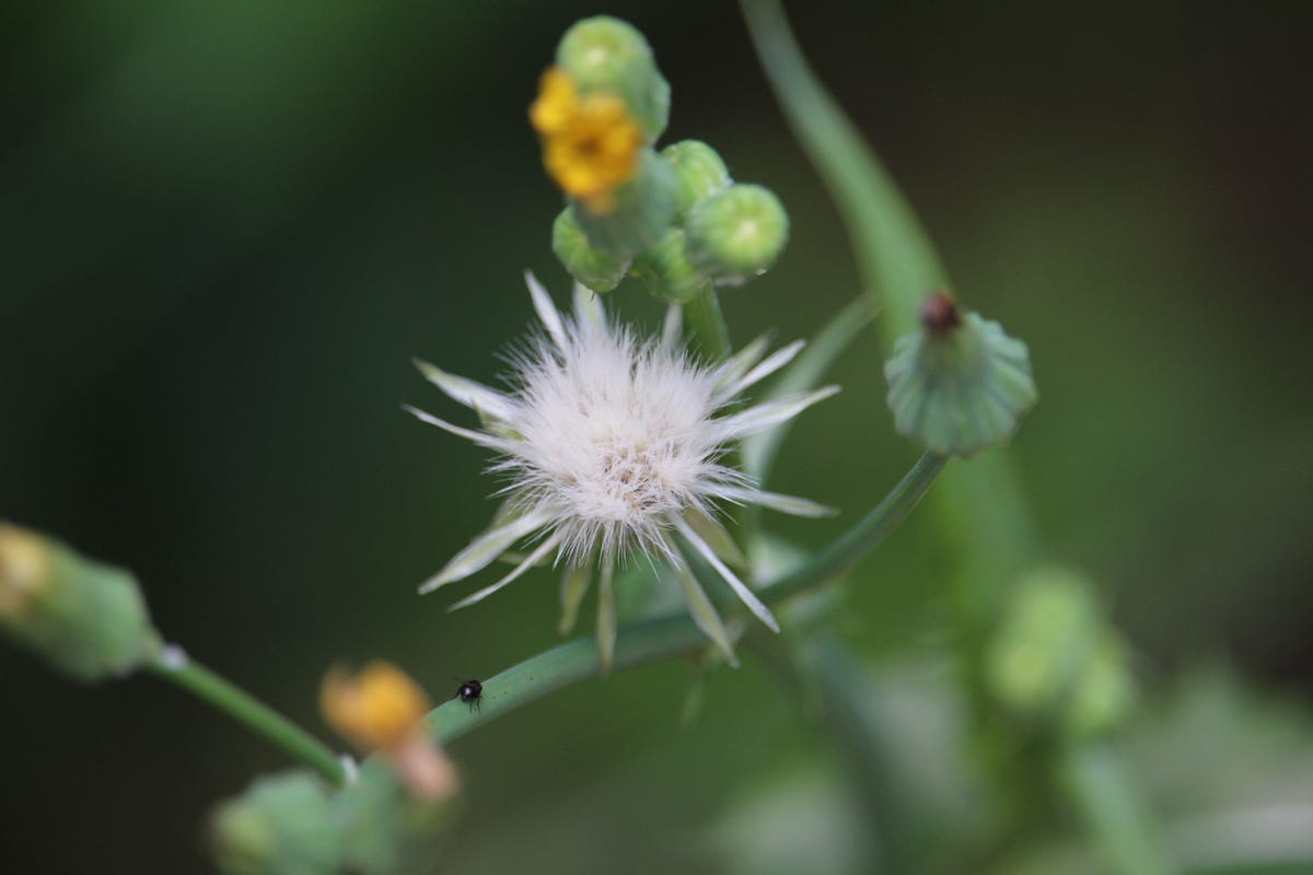 There is No Need to Attain A Spiritual State of Nothingness | by Soichi ...