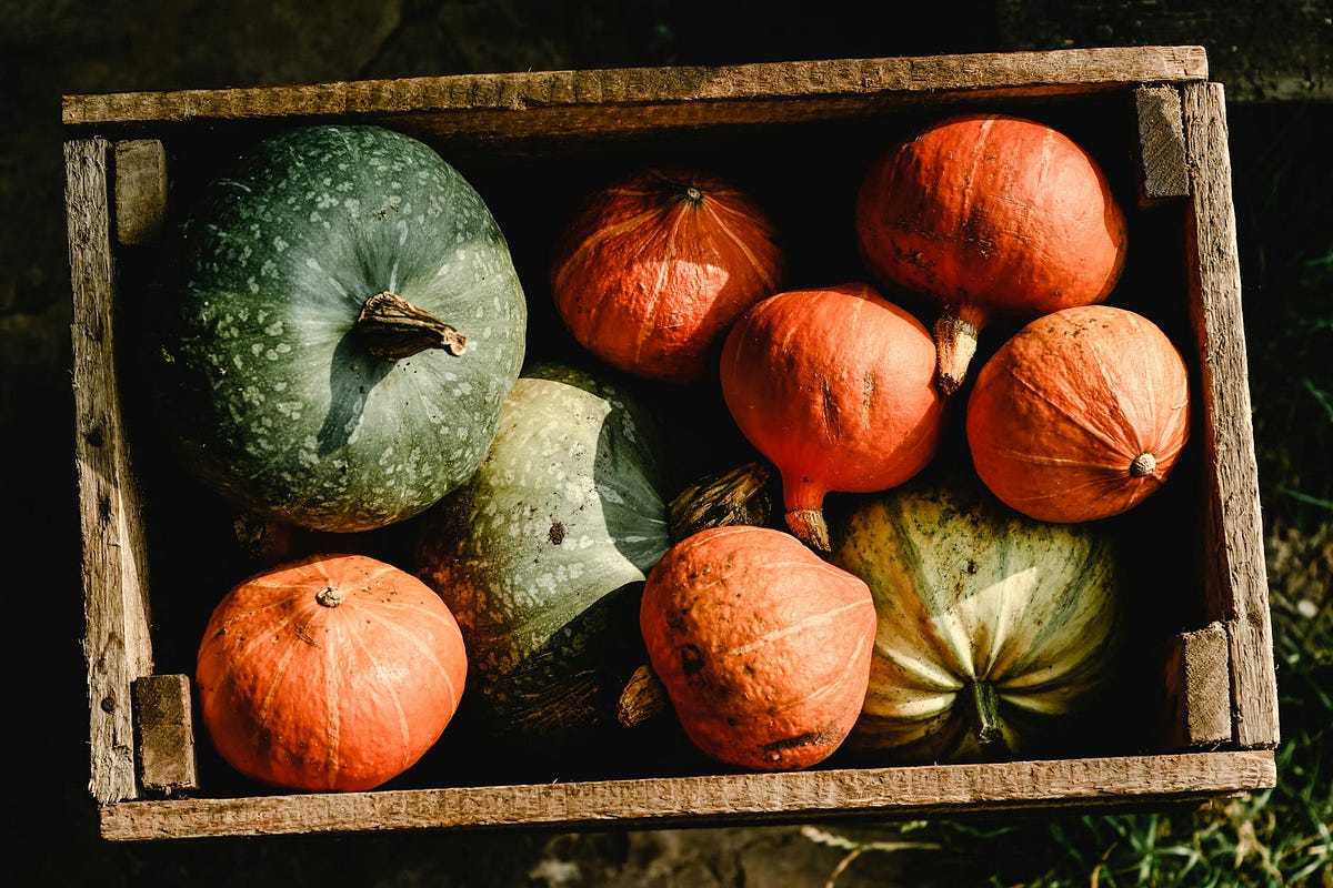 Embracing Fall. Activities and joys of the season | by ...