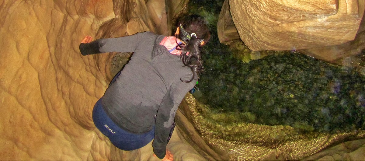 Exploring an Underground Stream. When I flew from Wellington to… | by ...
