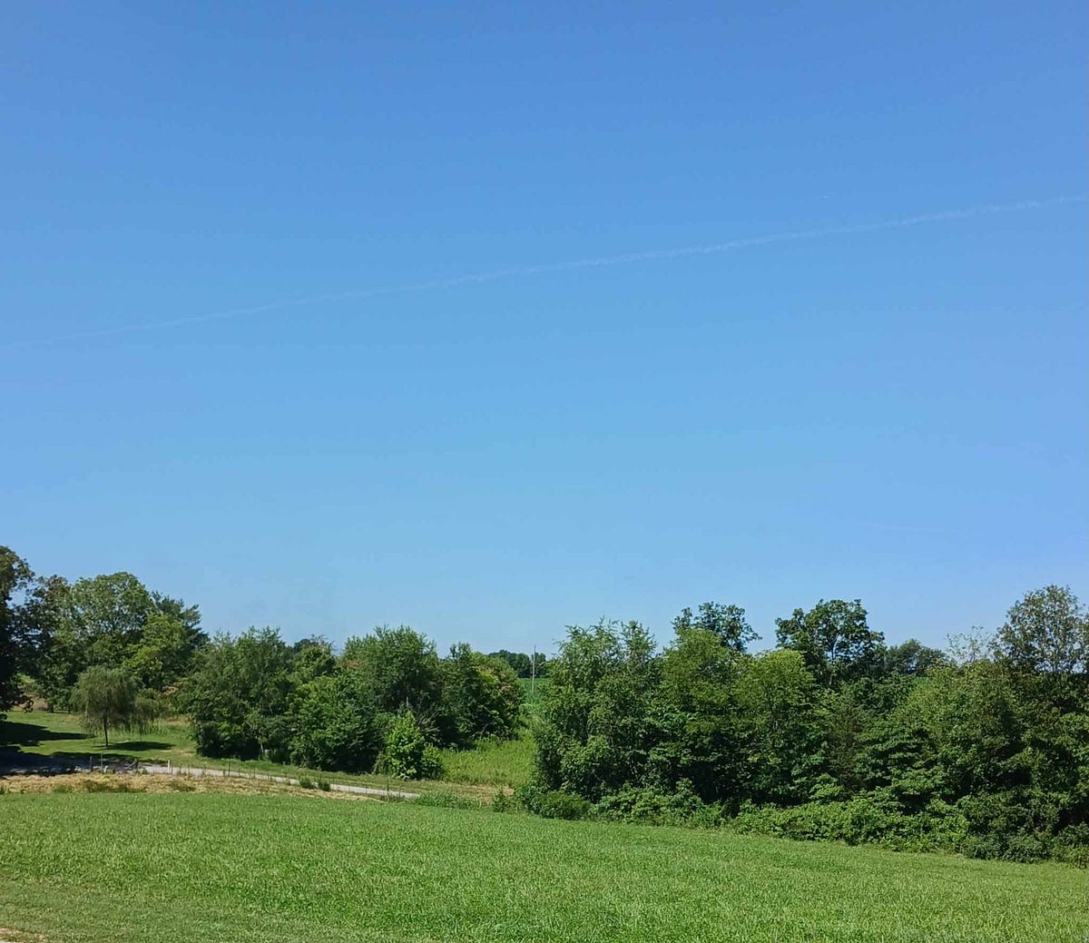 Today Was the Perfect Day to Hang Out on a Kentucky Farm | by Renae ...