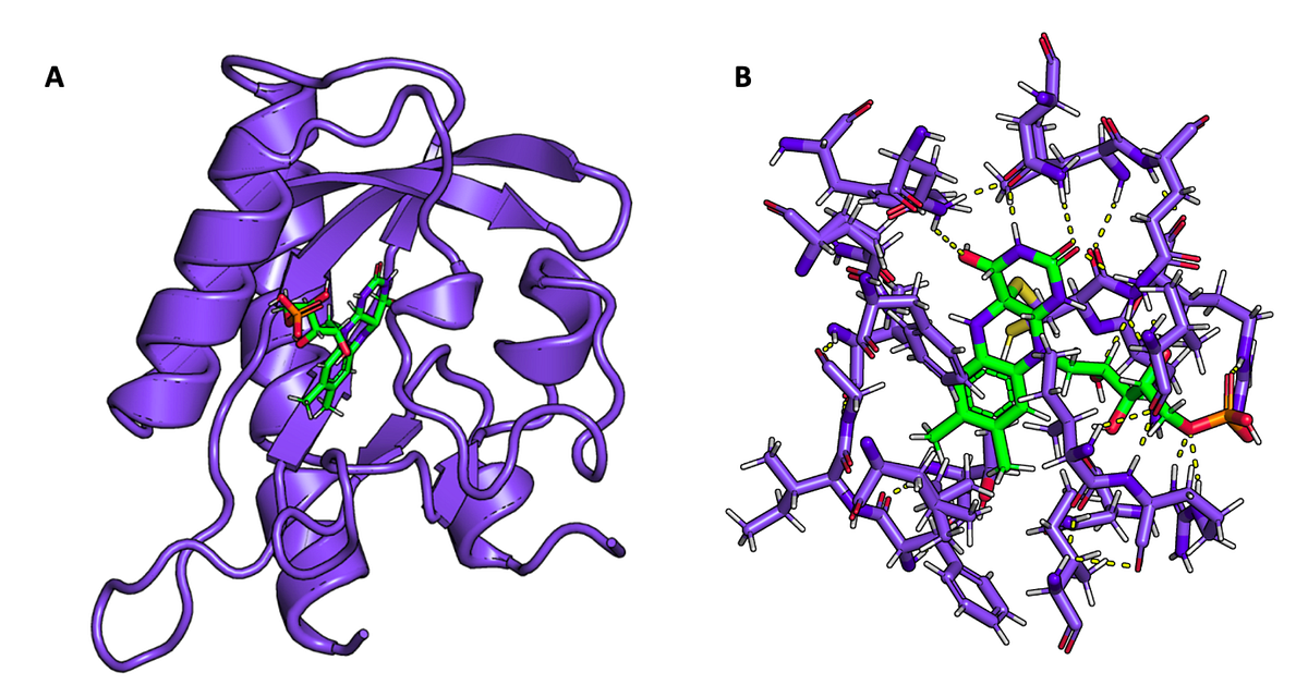 Heterogeneous Graph Neural Network for Ligand-Binding Protein Design ...