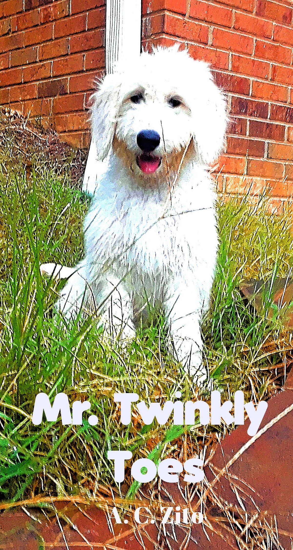 Mr. Twinkly Toes. https://wordhole.weebly.com/uploads/9/3/… | by A. C ...