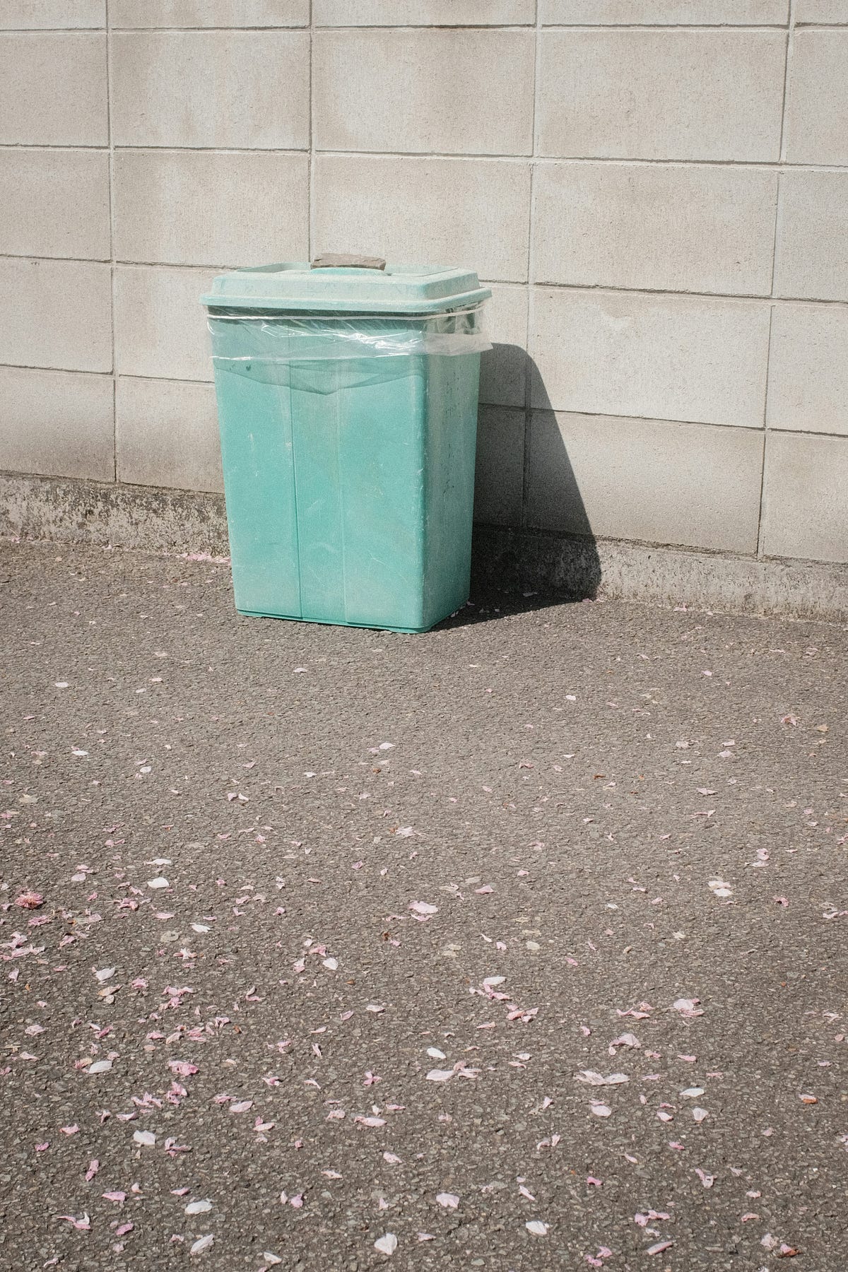 October Dump. | by Lumin- | Oct, 2025 | Medium