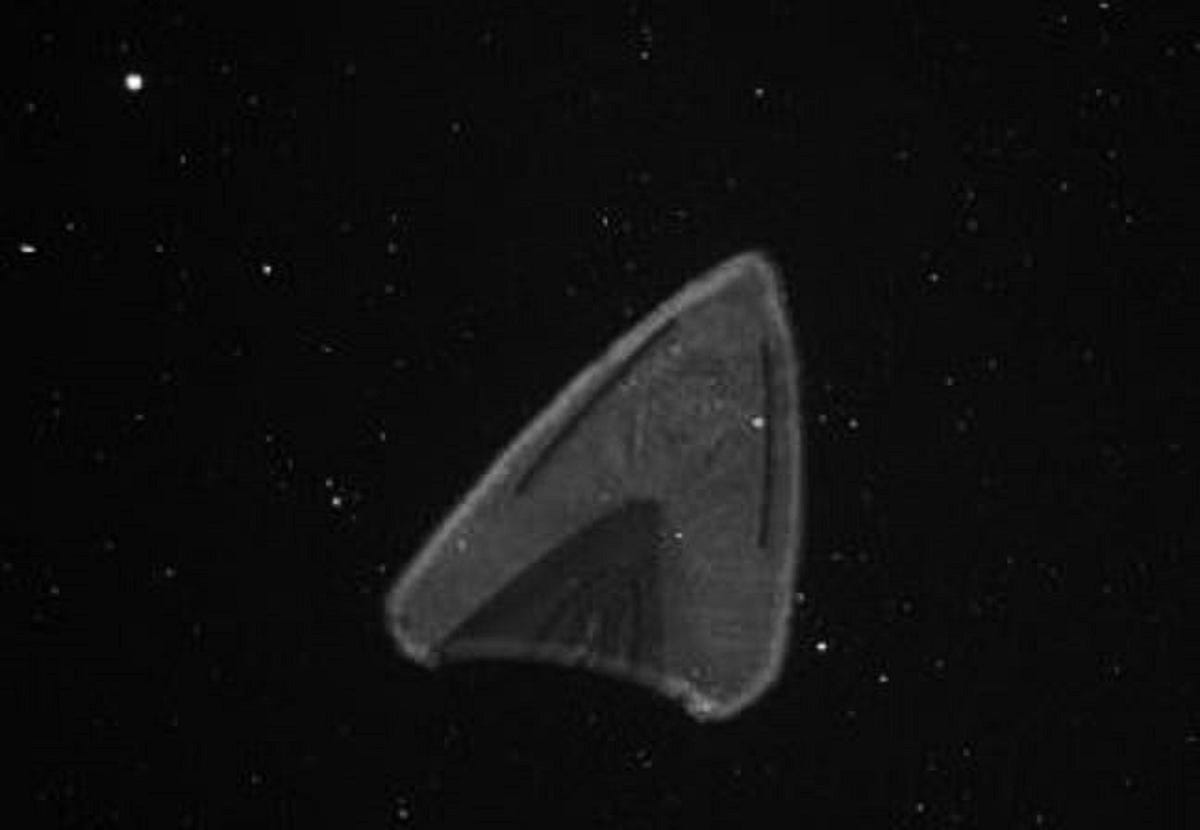 Large Black UFO Object Witnessed Over Australia | by Johnmooner-chief ...