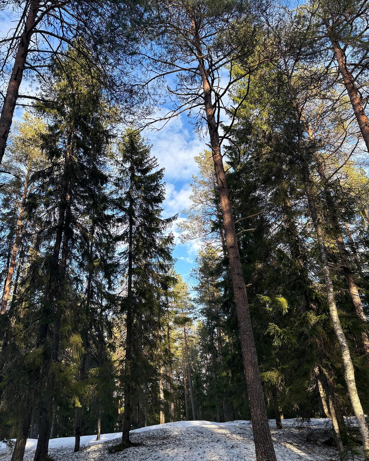 People following Design in the Nordics