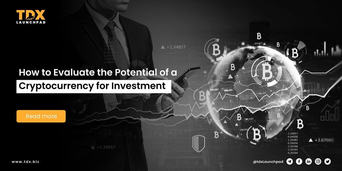 How to evaluate the Potential of a cryptocurrency for investment | by ...