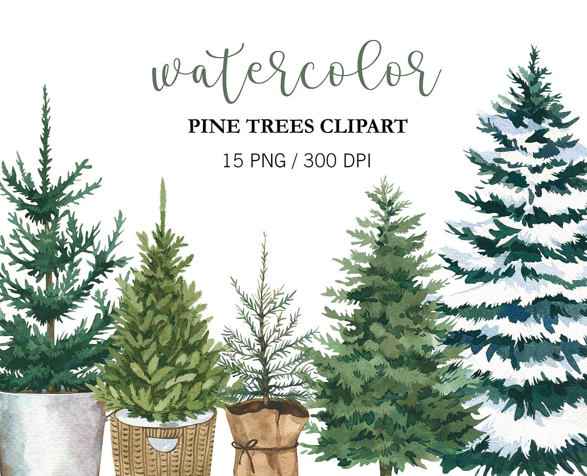 Watercolor Christmas Tree clipart, Pine Tree clipart, Pine tree PNG ...