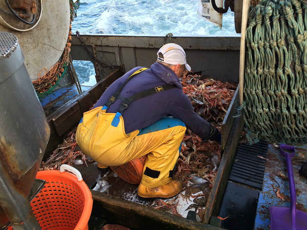 Between Waves and Worries: The Life of a Trawlerman in Scotland | by ...