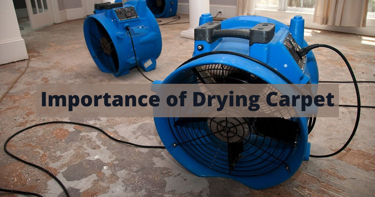 Importance of Need to dry carpets after carpet cleaning services | Medium