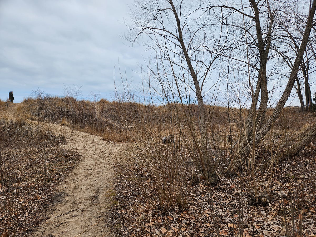 Al-Ghazali: On Disciplining The Soul (Kitab Riyadat al-nafs) & On Breaking the Two Desires ...