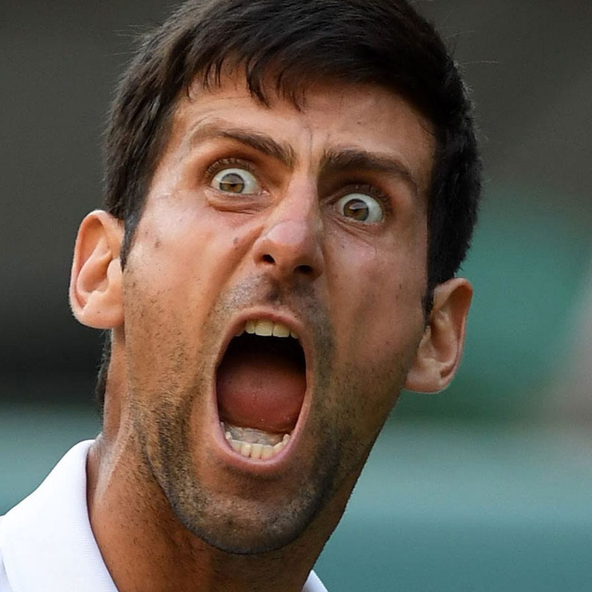 The Worst Greatest Tennis Player. It could be the 2020 Adria Tour… | by ...